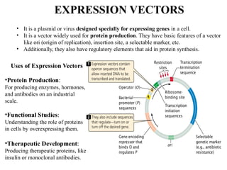 EXPRESSION VECTORS and bacteriophage vectors.pptx