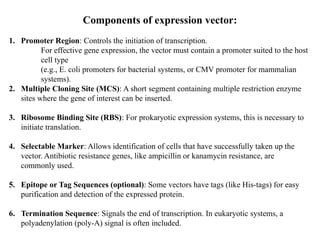 EXPRESSION VECTORS and bacteriophage vectors.pptx
