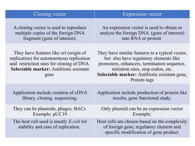 EXPRESSION VECTORS and bacteriophage vectors.pptx