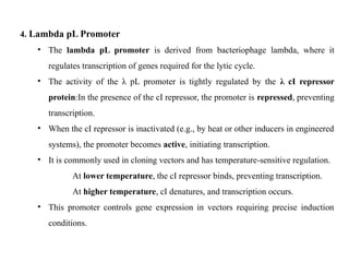 EXPRESSION VECTORS and bacteriophage vectors.pptx