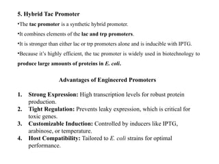 EXPRESSION VECTORS and bacteriophage vectors.pptx