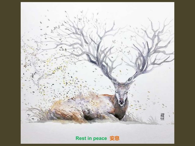 Expressive animal watercolor paintings (生動的 動物水彩畫).ppsx