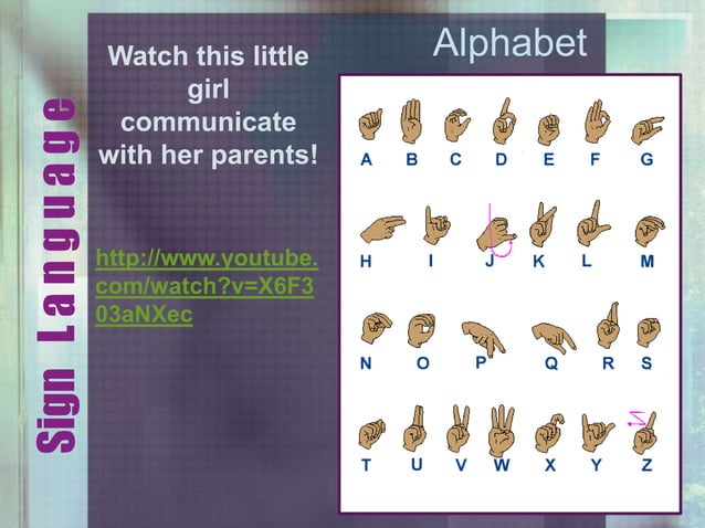 Observational Drawing skills- contour line hands | PPT