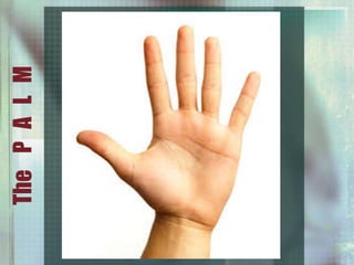 Observational Drawing skills- contour line hands | PPT