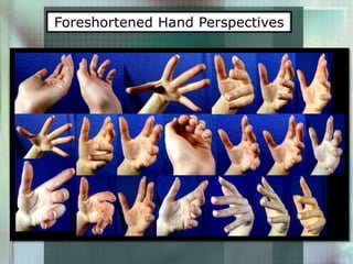 Observational Drawing skills- contour line hands | PPT