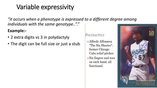 Expressivity | PPTX | Genetics | Science