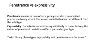 Expressivity | PPT