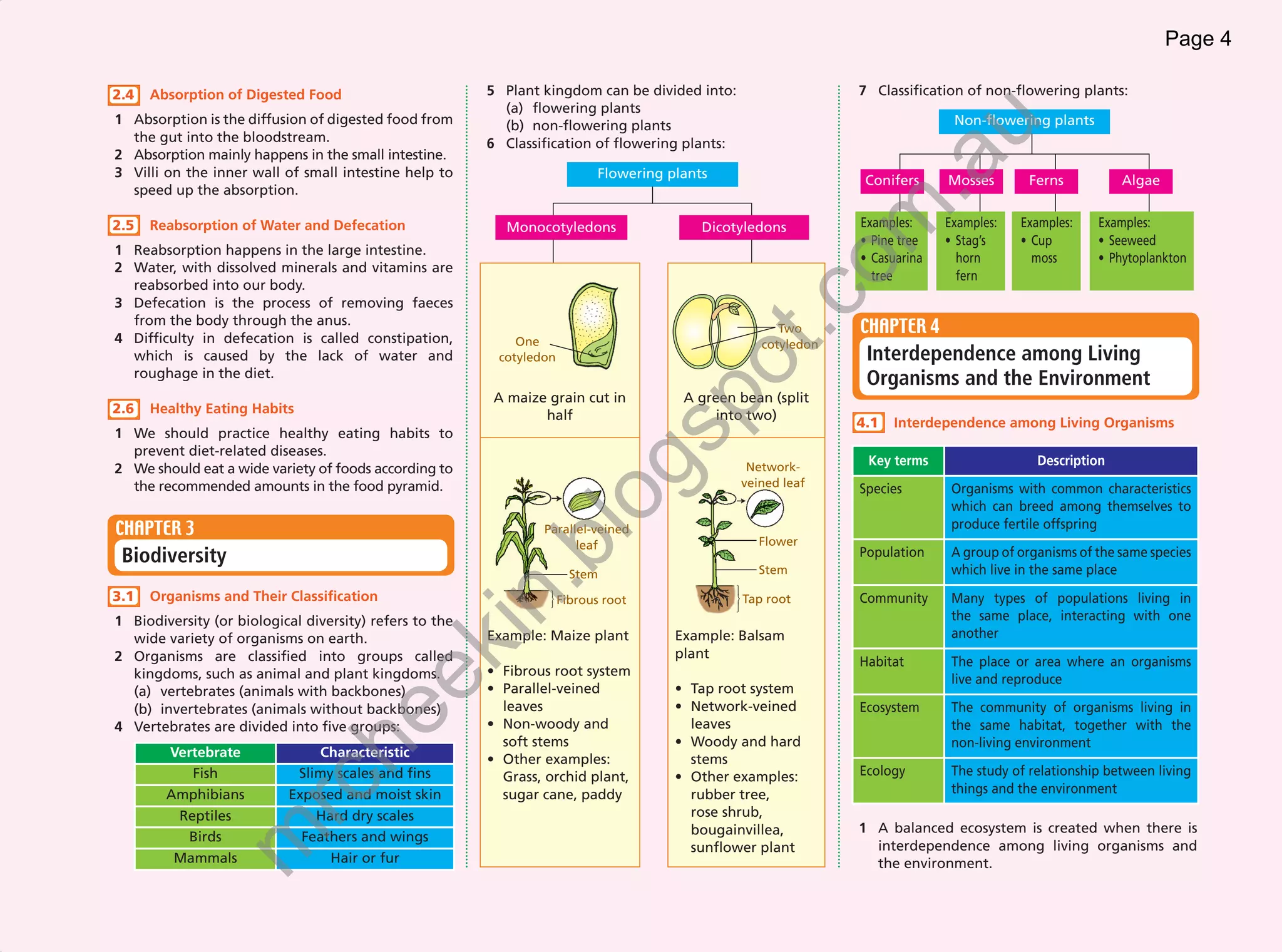 Express Notes Science Form 2 | PDF