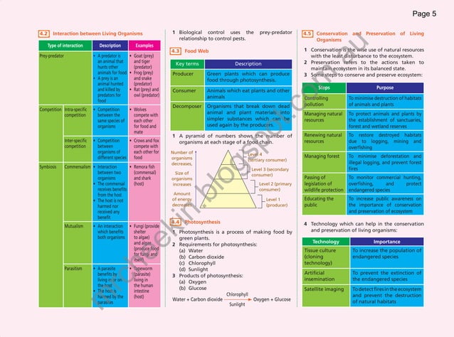 Express Notes Science Form 2 | PDF