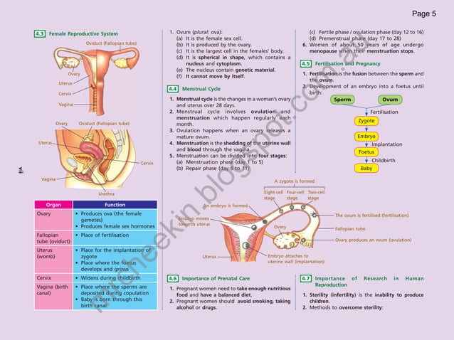 Express notes science form 3 | PDF