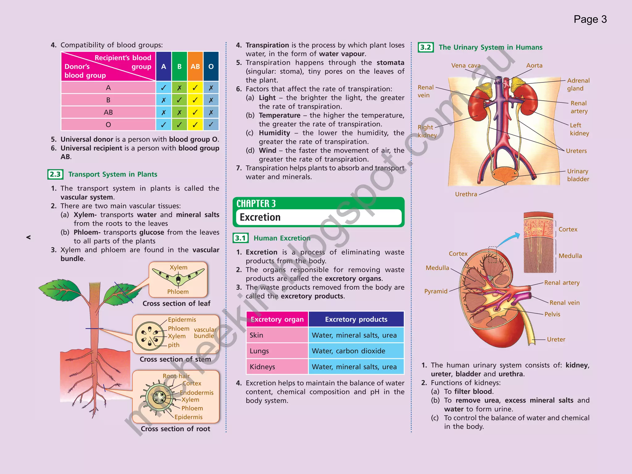 Express Notes Science Form 3 | PDF