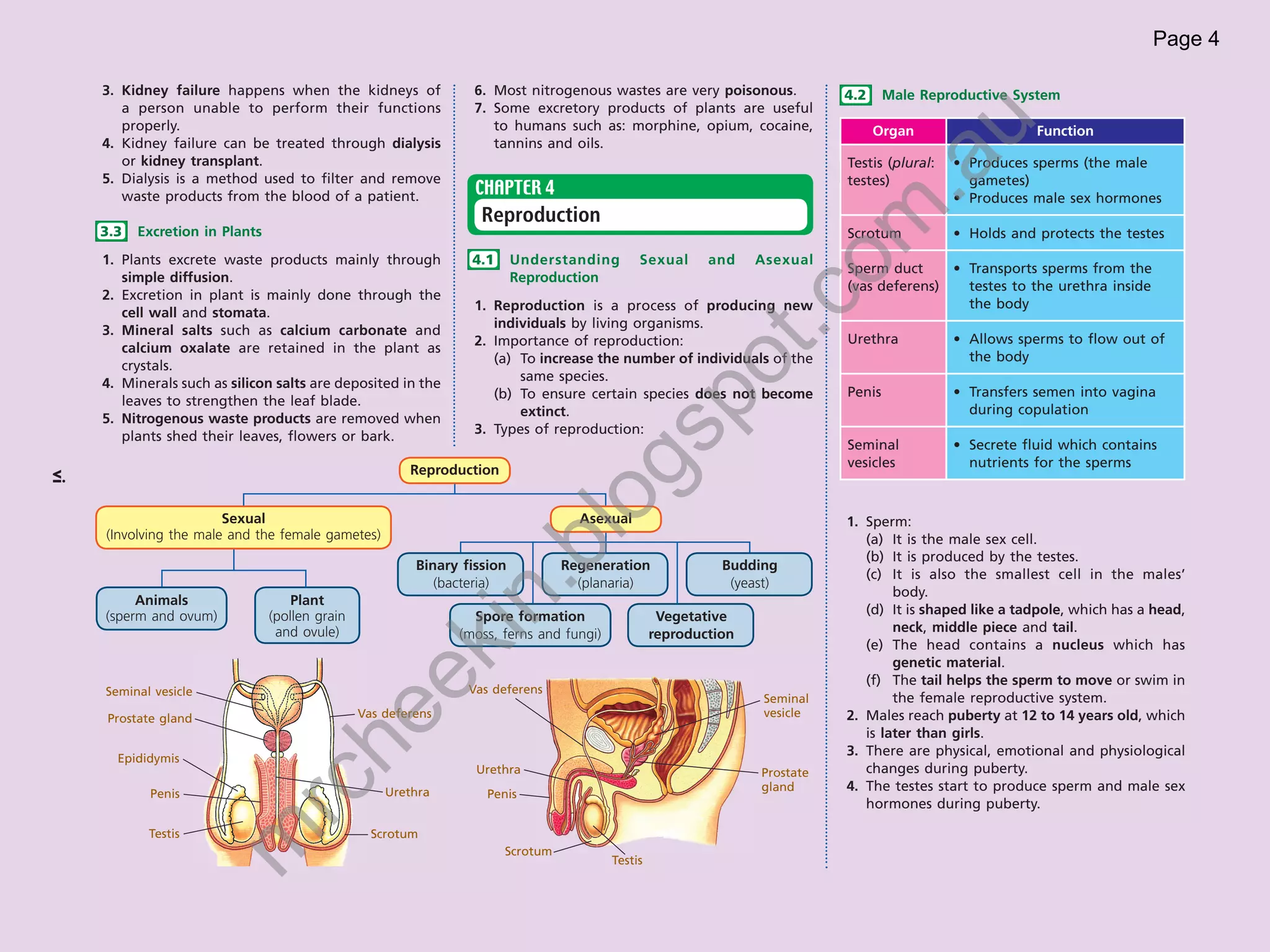 Express Notes Science Form 3 | PDF