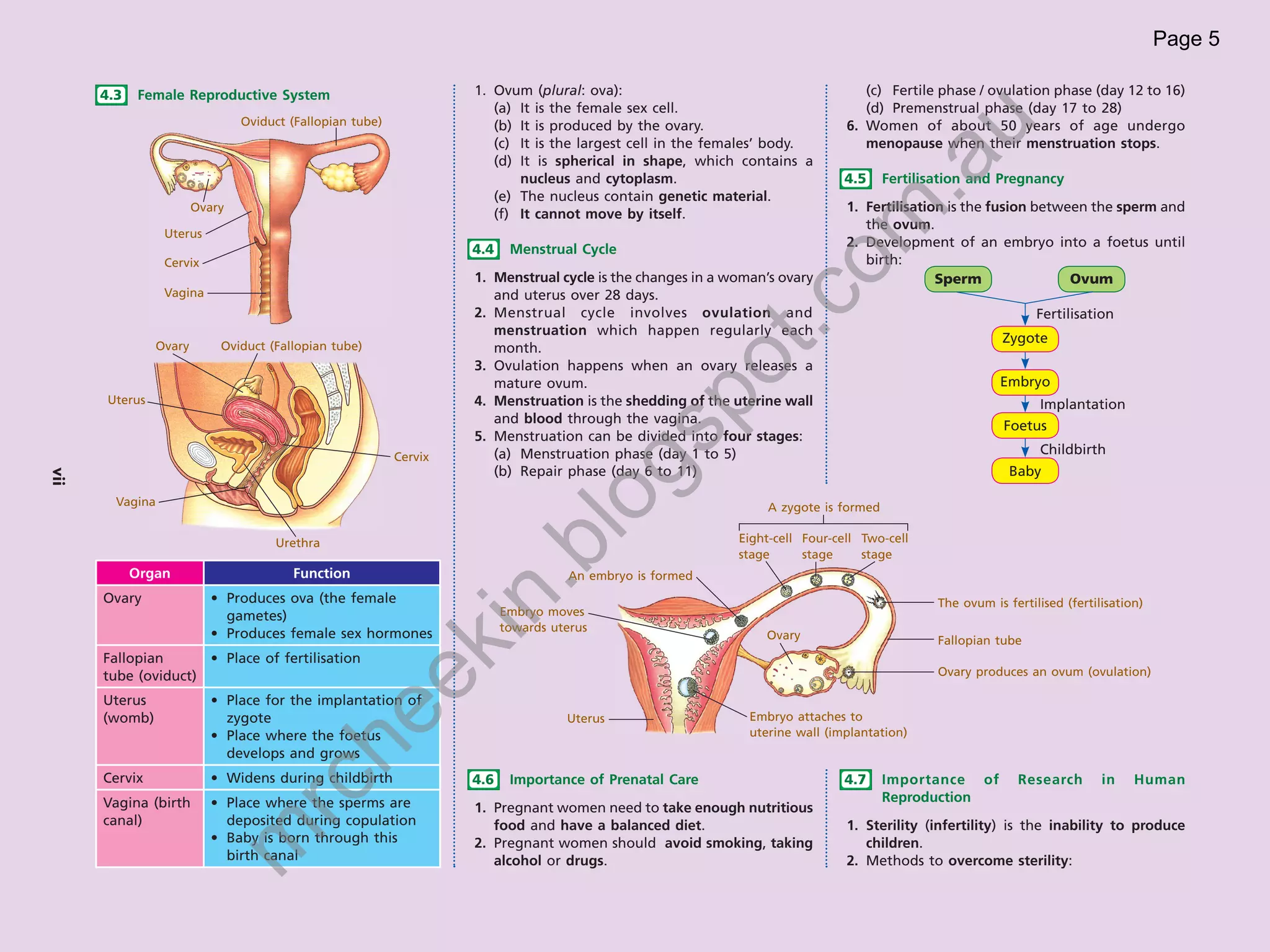 Express Notes Science Form 3 | PDF