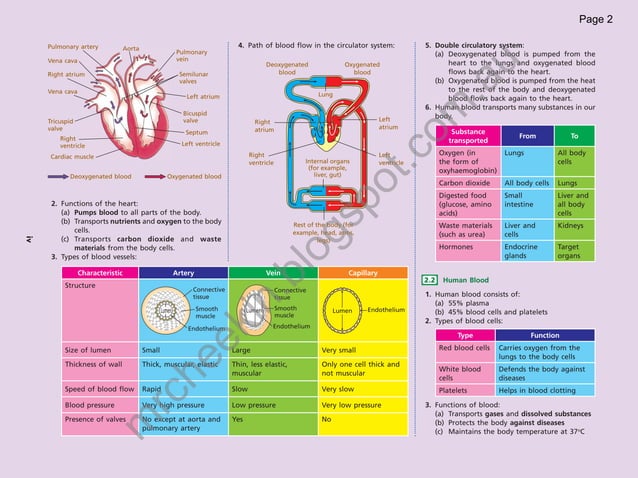 Express Notes Science Form 3 | PDF | Heart and Cardiovascular Diseases ...