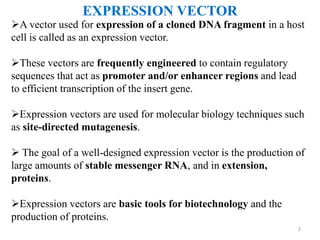 Exprssion vector | PPTX