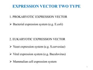Exprssion vector | PPTX