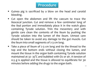 Expt. 6 Bioassay of histamine using guinea pig ileum by matching method ...