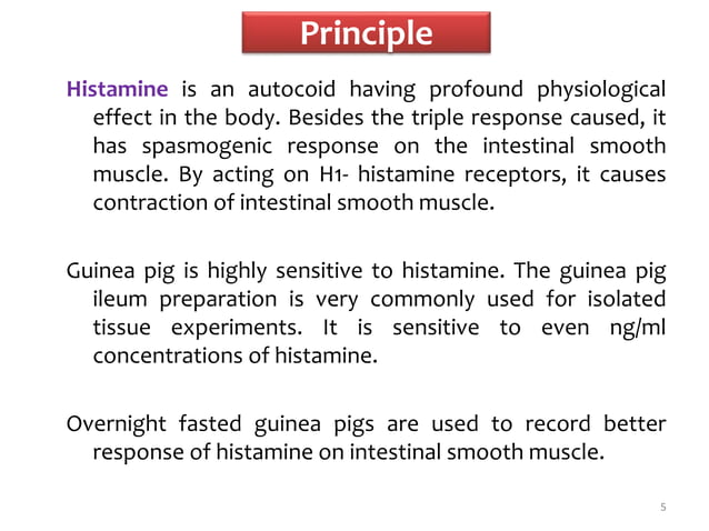 Expt. 6 Bioassay of histamine using guinea pig ileum by matching method ...