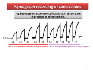 Expt. 8 Effect of physostigmine on DRC of acetylcholine using frog ...