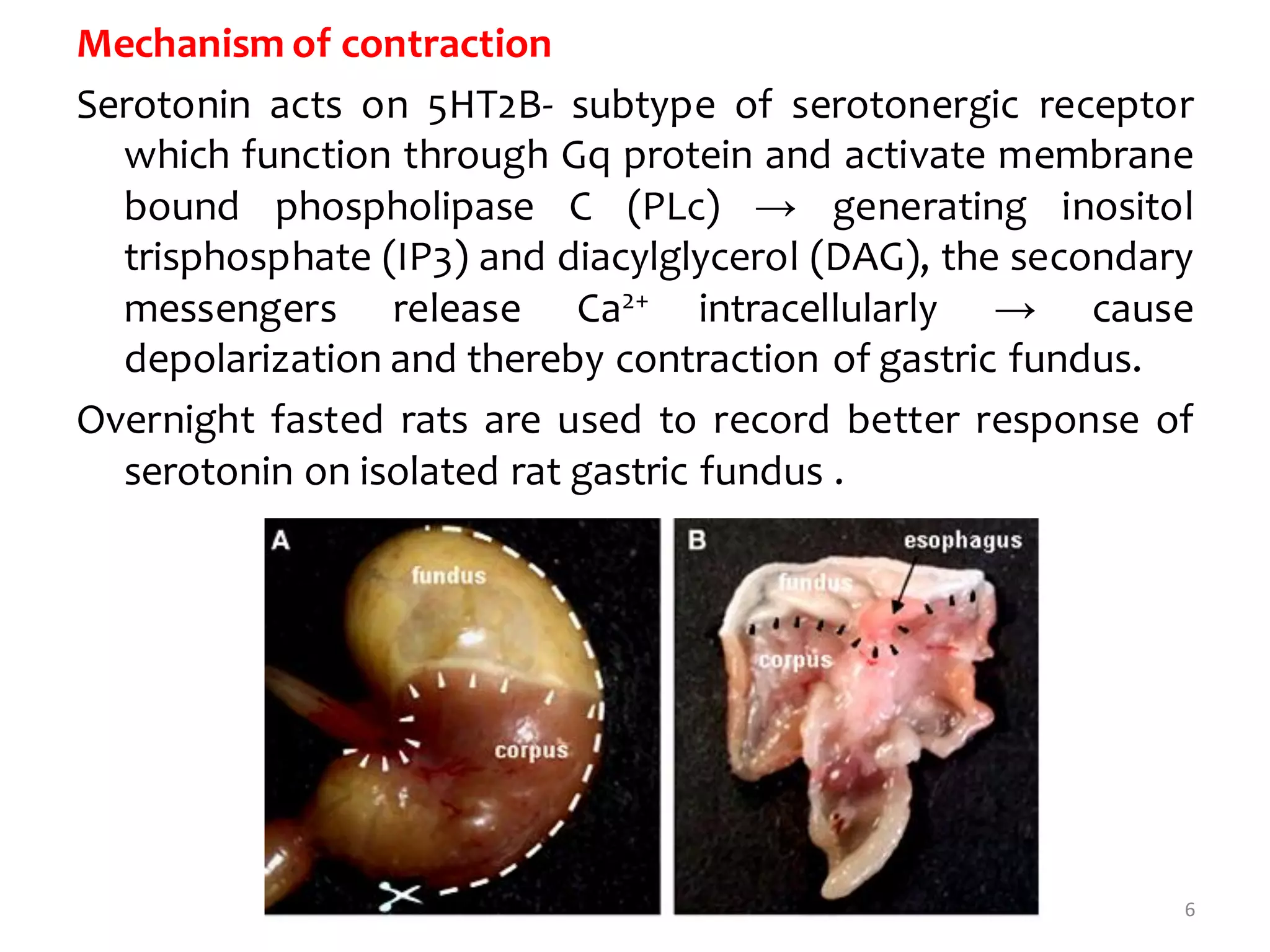 Expt. 1 Bioassay of serotonin using rat fundus strip by three point ...