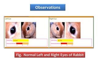 Expt. 3 Study of mydriatic and miotic effects on rabbit eye. | PDF