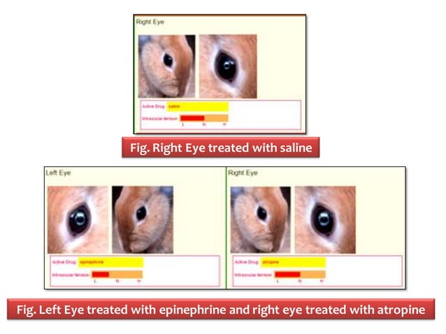 Expt. 3 Study of mydriatic and miotic effects on rabbit eye.