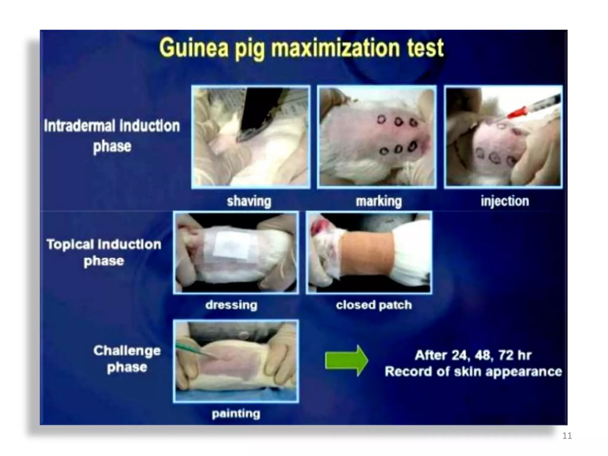 Expt. 10 Determination of acute skin irritation corrosion of a test ...