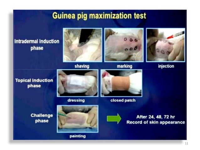 Expt. 10 Determination of acute skin irritation corrosion of a test ...