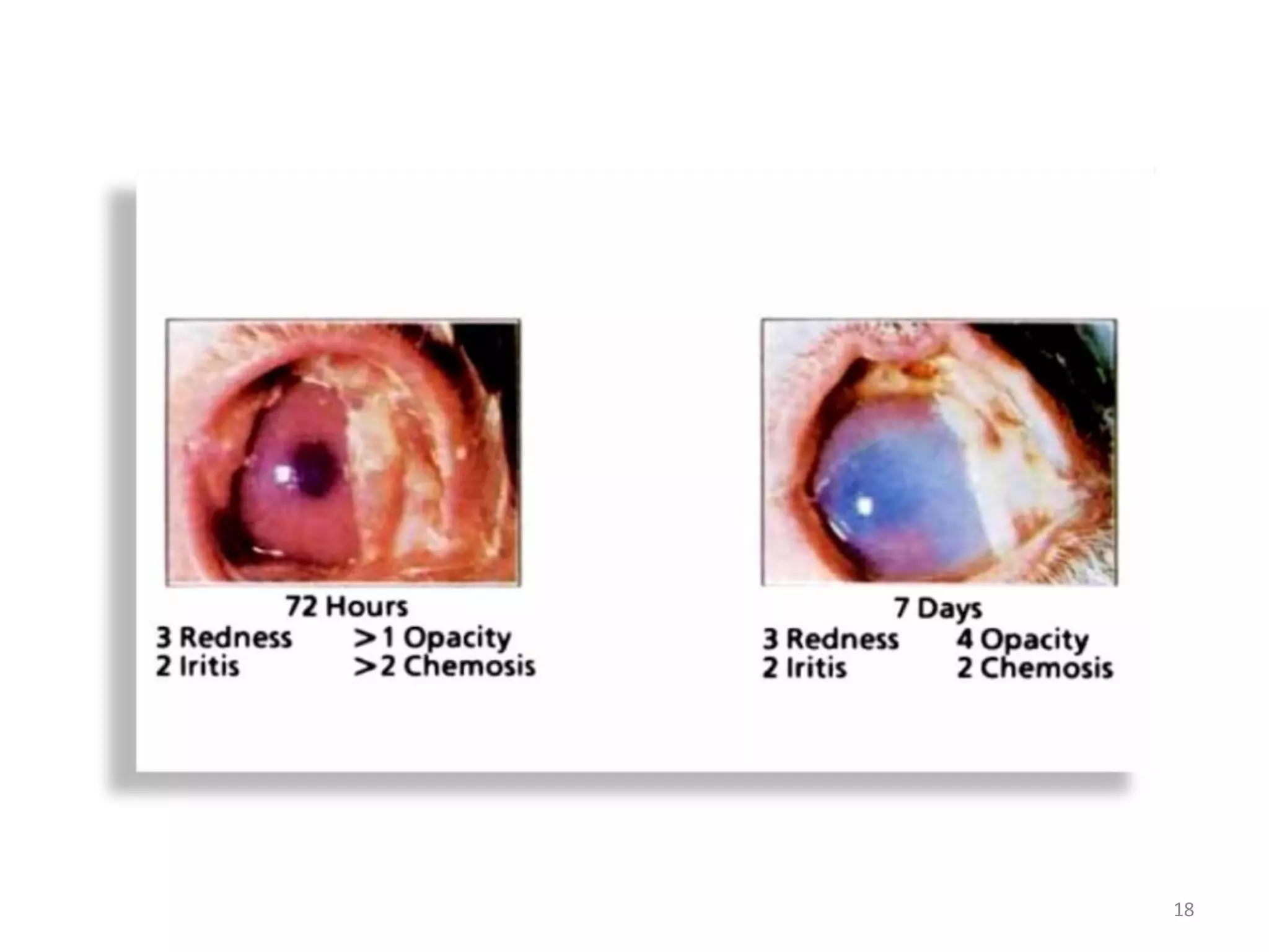 Expt. 11 Determination of acute eye irritation corrosion of a test ...
