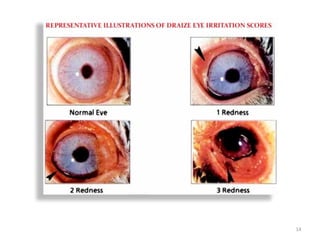 Expt. 11 Determination of acute eye irritation corrosion of a test ...