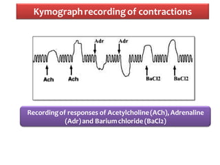 Expt. 10 effect of spasmogens and spasmolytics using rabbit jejunum | PDF