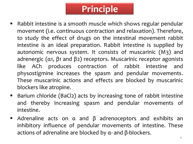 Expt. 10 effect of spasmogens and spasmolytics using rabbit jejunum | PDF | Endocrine and ...
