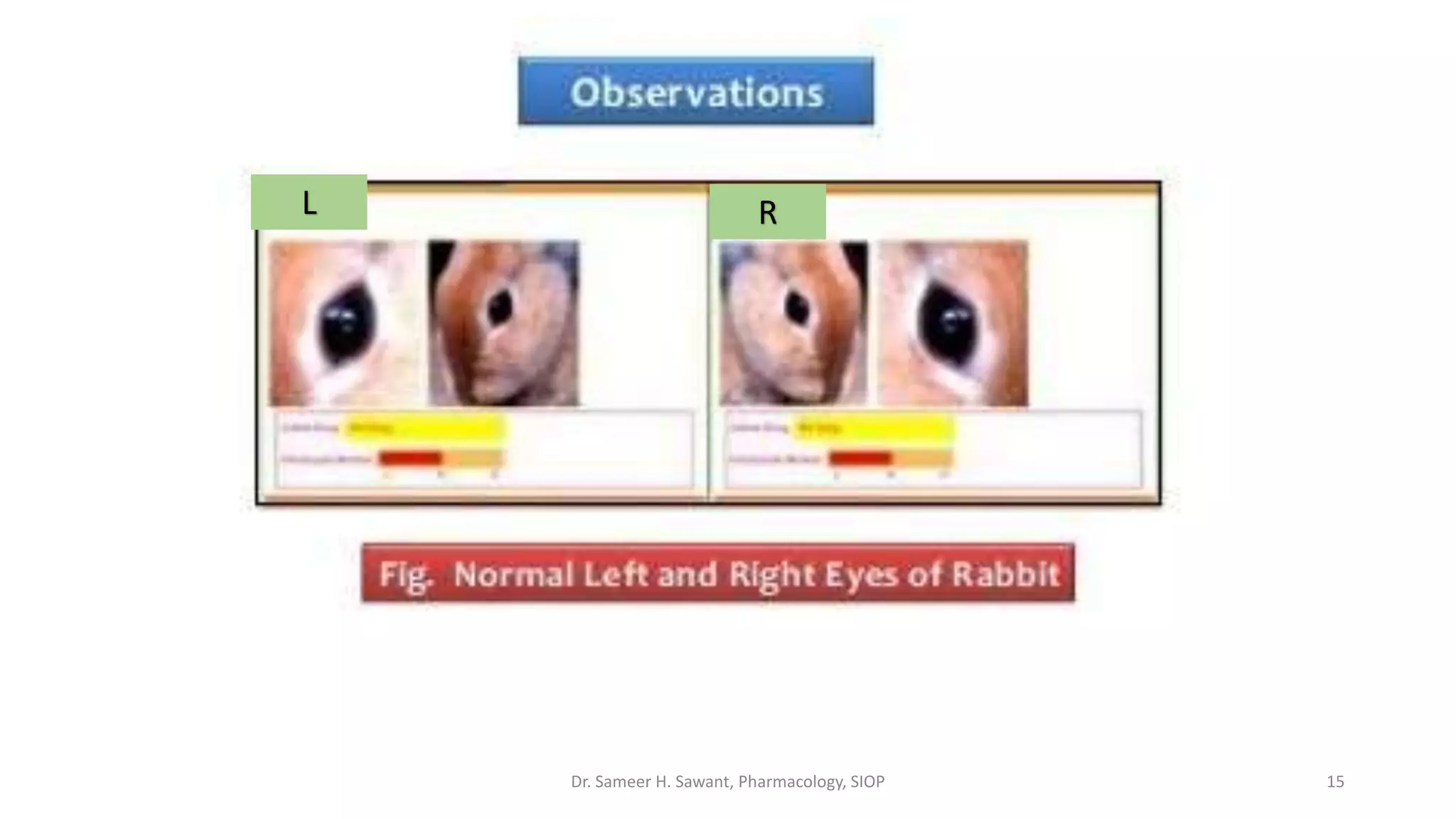 Study of Mydriatic and Miotic effect on rabbit eye | PPTX