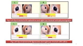 Expt.16 Study of Mydriatic and Miotic effects on rabbit.pptx