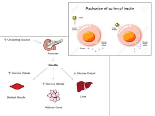 Expt 9- To evaluate the effect of insulin in rabbits at different ...