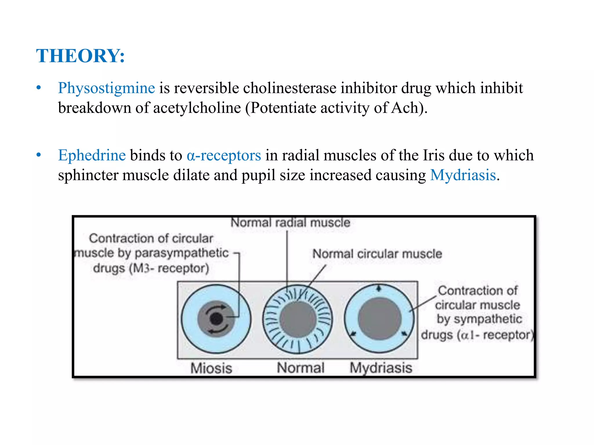 Expt 9 Effect of drugs on rabbit eye | PPTX
