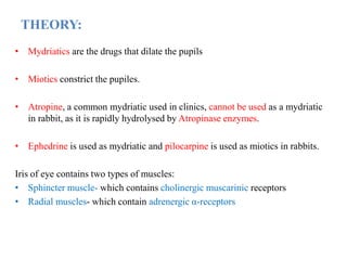 Expt 9 Effect of drugs on rabbit eye | PPTX