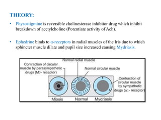 Expt 9 Effect of drugs on rabbit eye | PPT