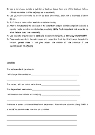 Expt b1 diffusion in beetroot modified | DOC