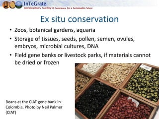 Biodiversity Conservation (In Situ and Ex situ conservation | PPTX