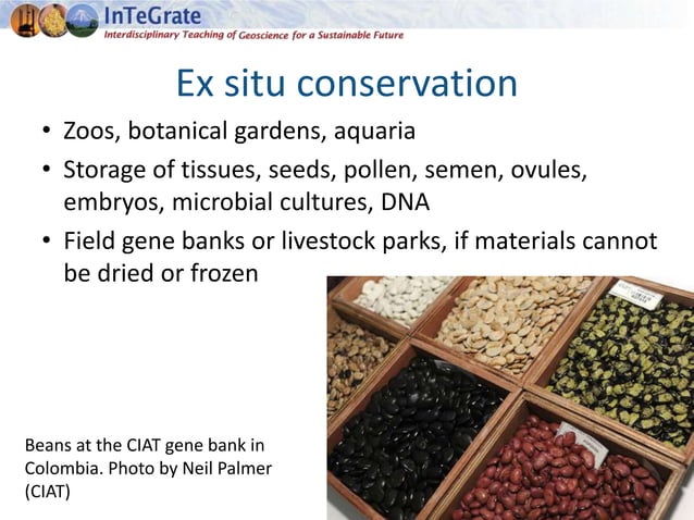 Biodiversity Conservation (In Situ and Ex situ conservation | PPTX ...