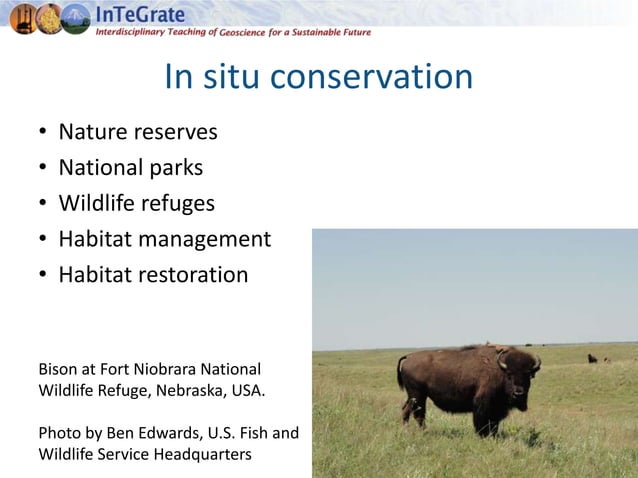 Biodiversity Conservation (In Situ and Ex situ conservation | PPTX ...