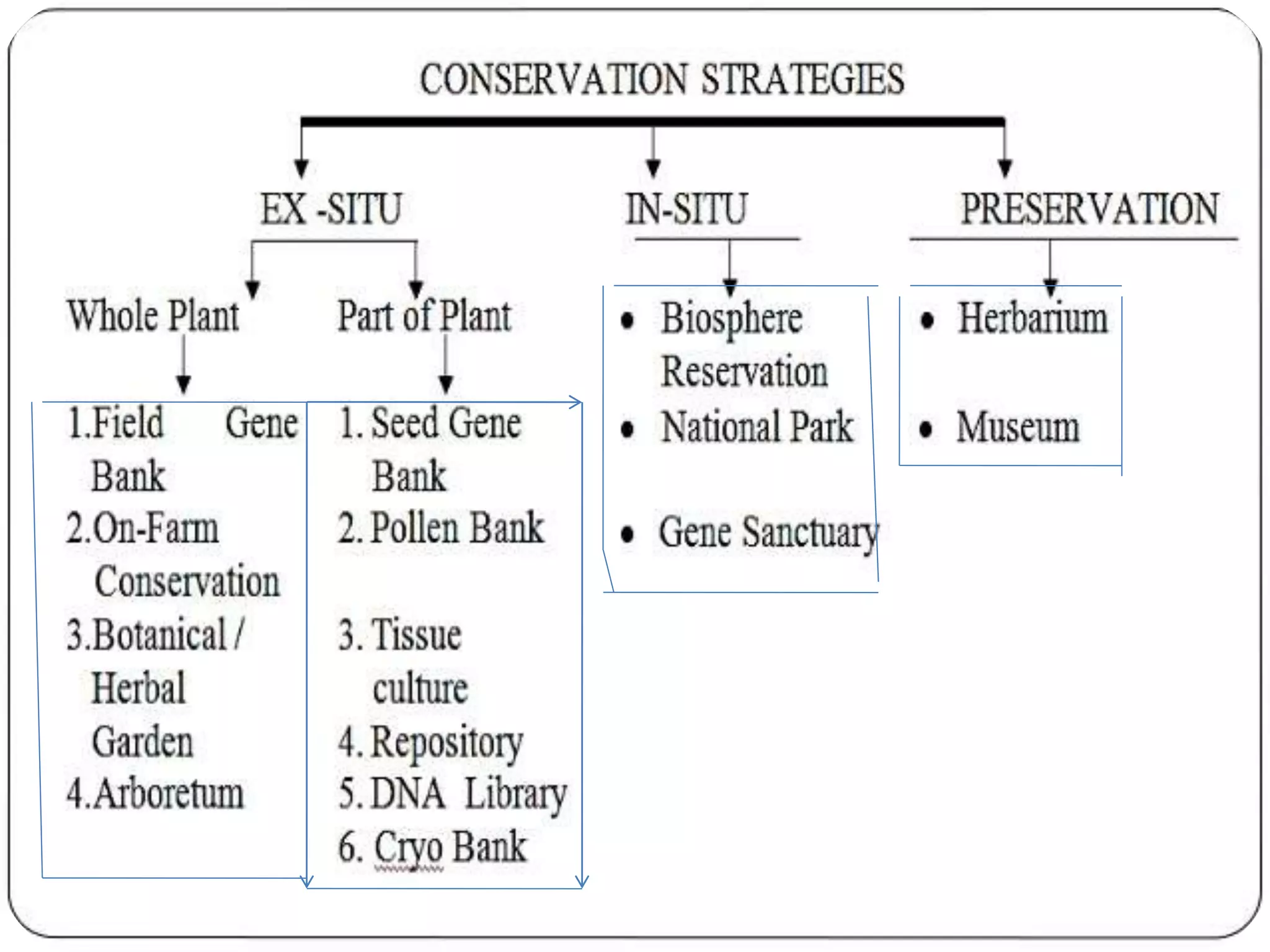 Ex situ conservation | PPTX