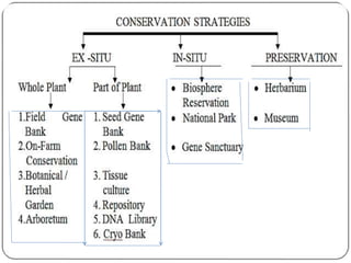 Ex situ conservation | PPTX