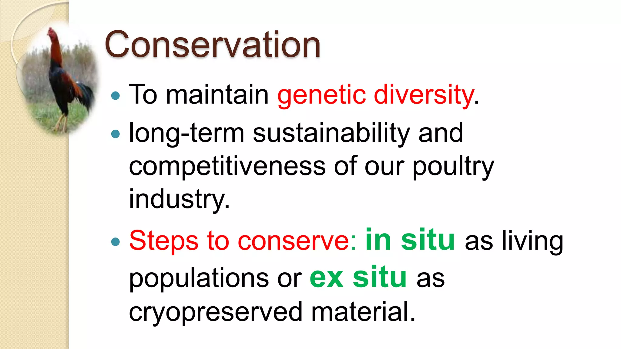 Ex situ conservation of poultry genetic resources | PPTX