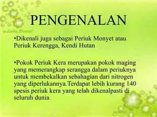 Ex situ periuk kera | PPTX