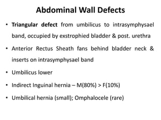 Exstrophy Epispadias complex | PPT