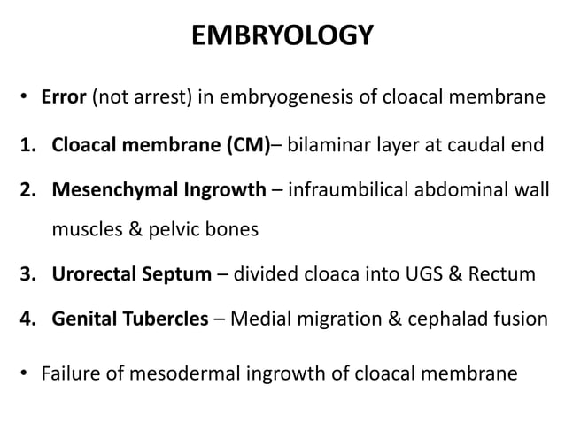 Exstrophy Epispadias complex | PPT