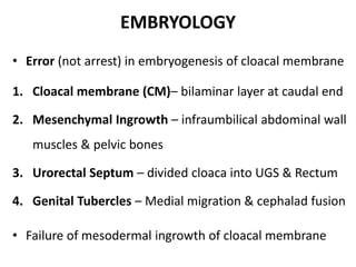 Bladder Exstrophy Embryology