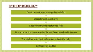 Exstrophy of bladder | PPTX